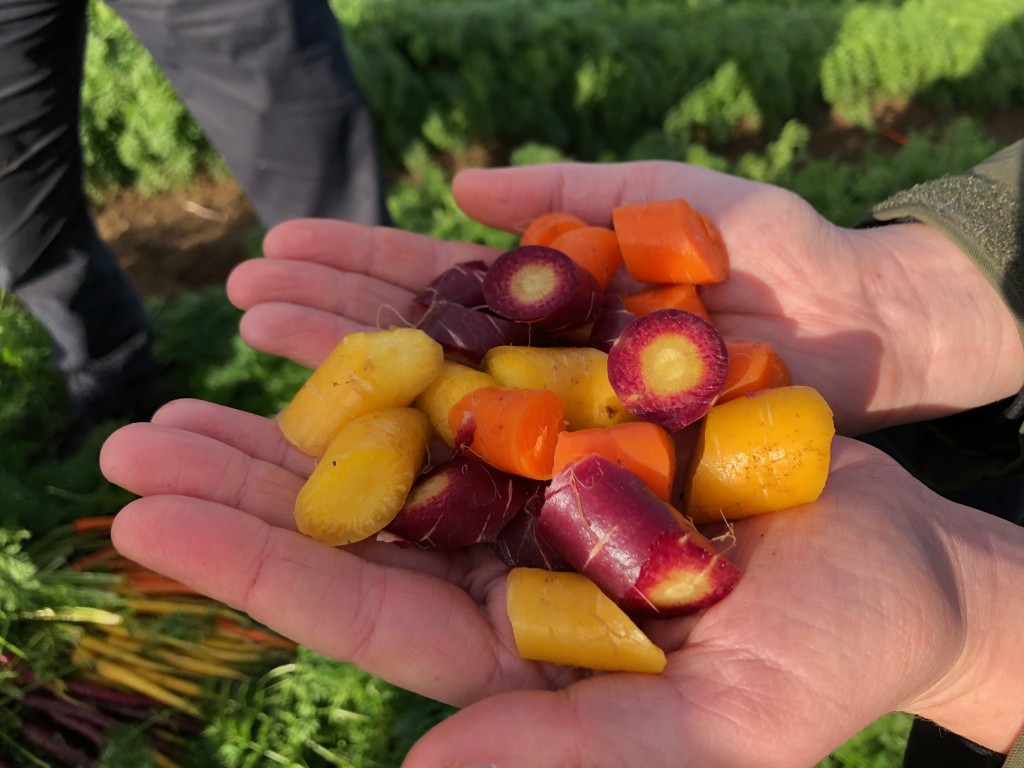 Agritec International – Innovation